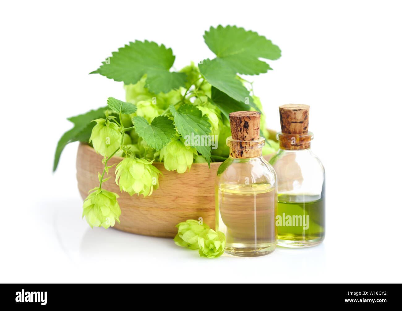 Hop cones (Humulus) with medicinal plant extract in glass bottles ...