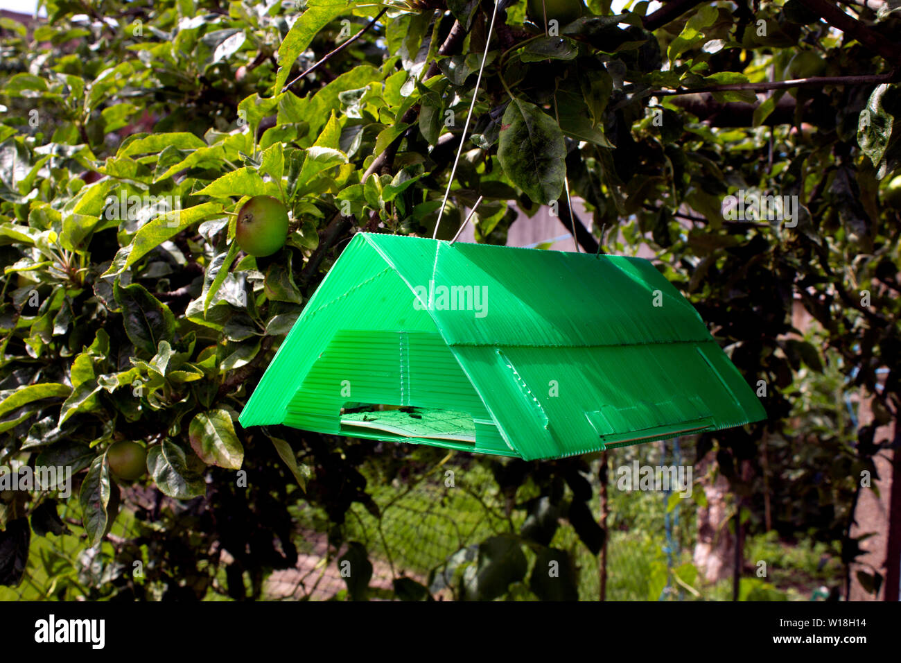 Codling moth trap hi-res stock photography and images - Alamy