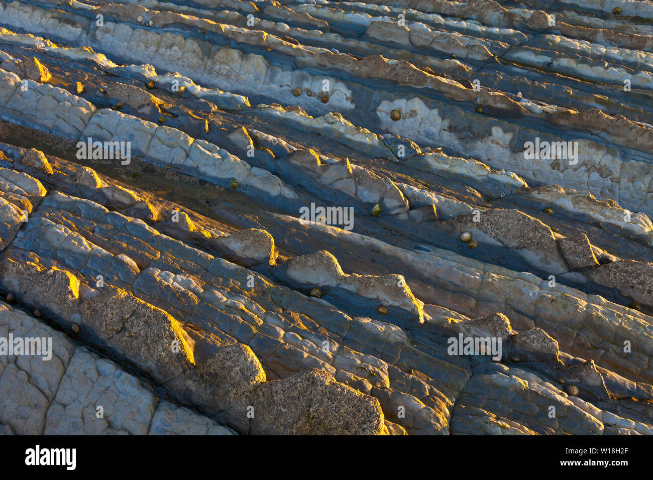 Flysch, Sakoneta beach, Deva, Gipuzkoa, The Basque Country, The Bay of ...