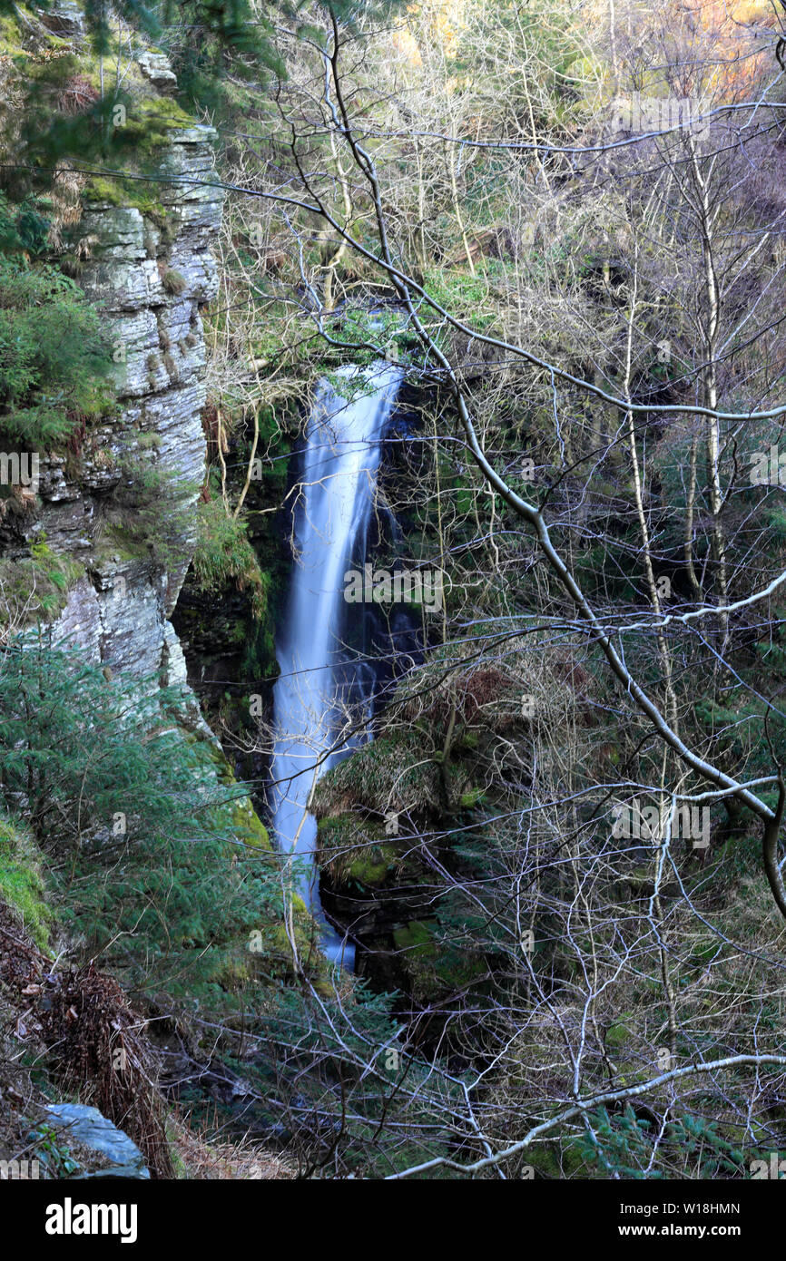 Spout Force waterfall, Whinlatter forest, Lake District National Park ...