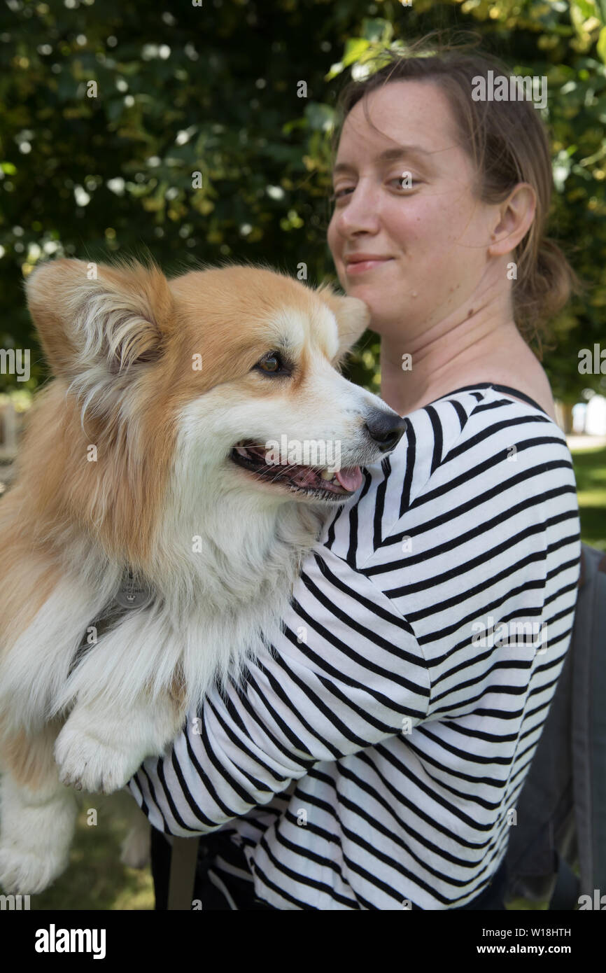Marcel le corgi hi-res stock photography and images - Alamy