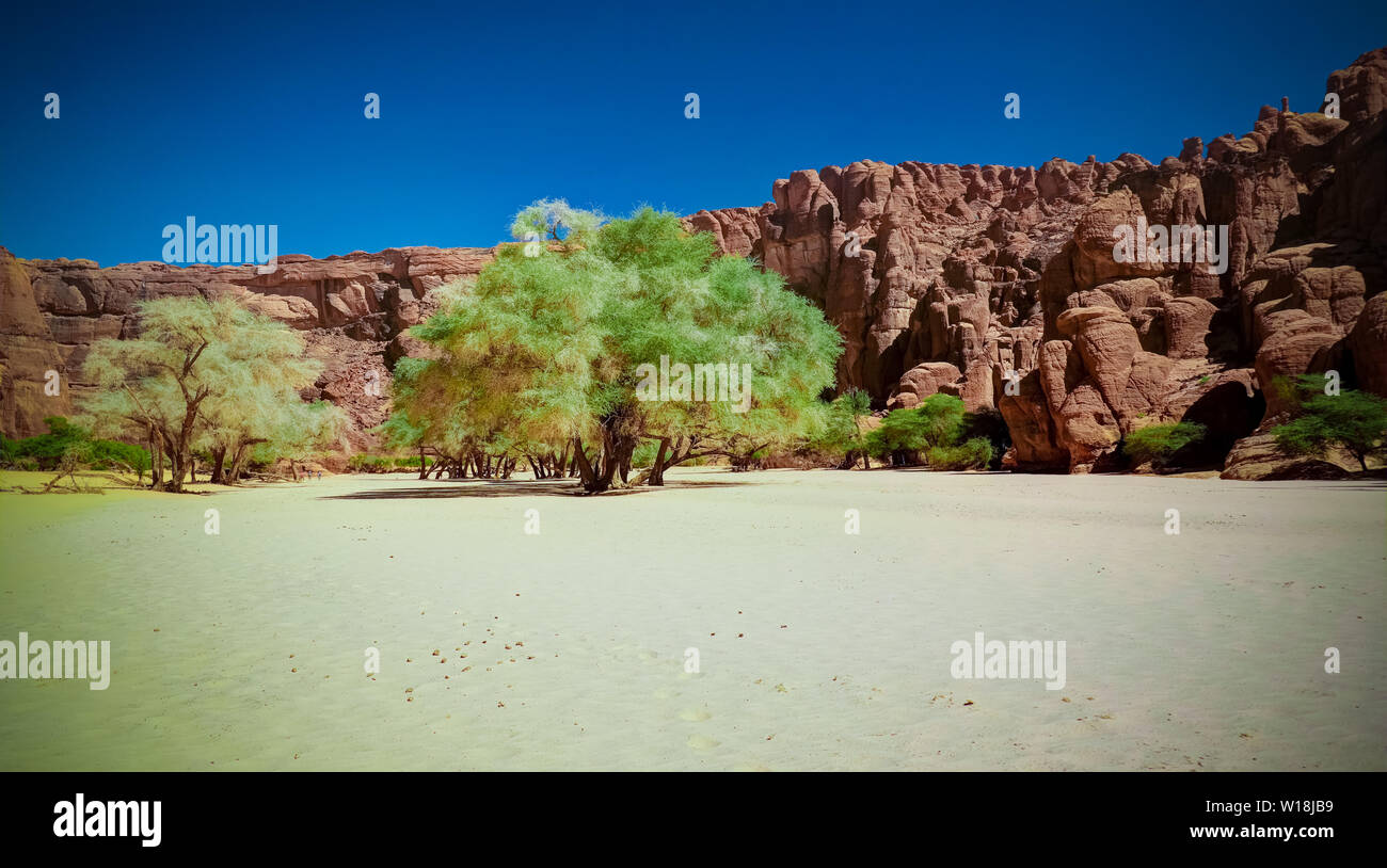 Panorama inside canyon aka Guelta d'Archei, East Ennedi, Chad Stock ...