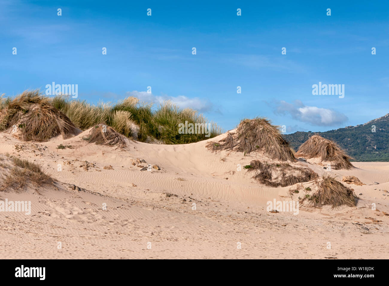 Beautiful virgin beaches of Andalusia, Valdevaqueros in Cadiz province ...