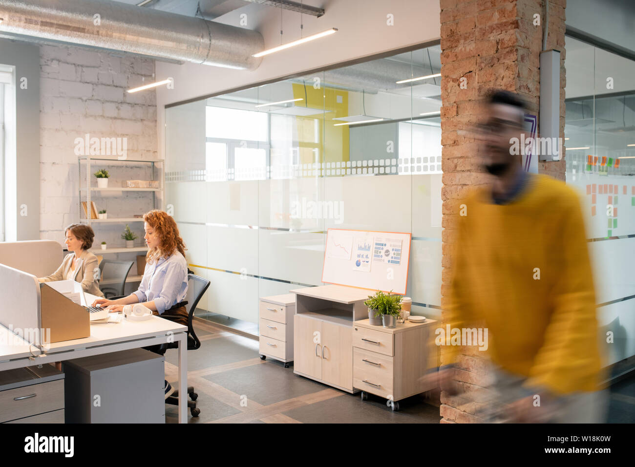 People working in modern open-space office: young ladies sitting at ...