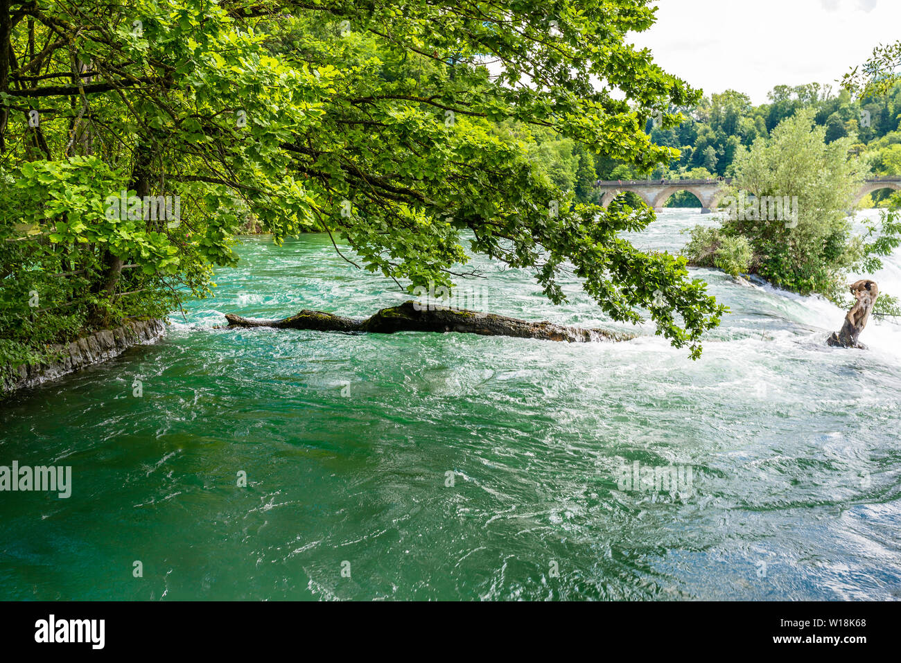 Beautiful view of the Rhine river in turquoise, at the source in ...