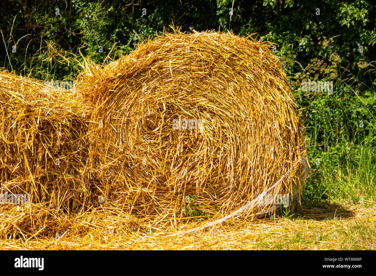 THE CONFETTI FIELDS, WICK, PERSHORE, WORCESTERSHIRE Stock Photo - Alamy