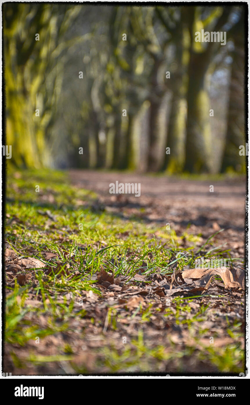 Green alley hi-res stock photography and images - Alamy
