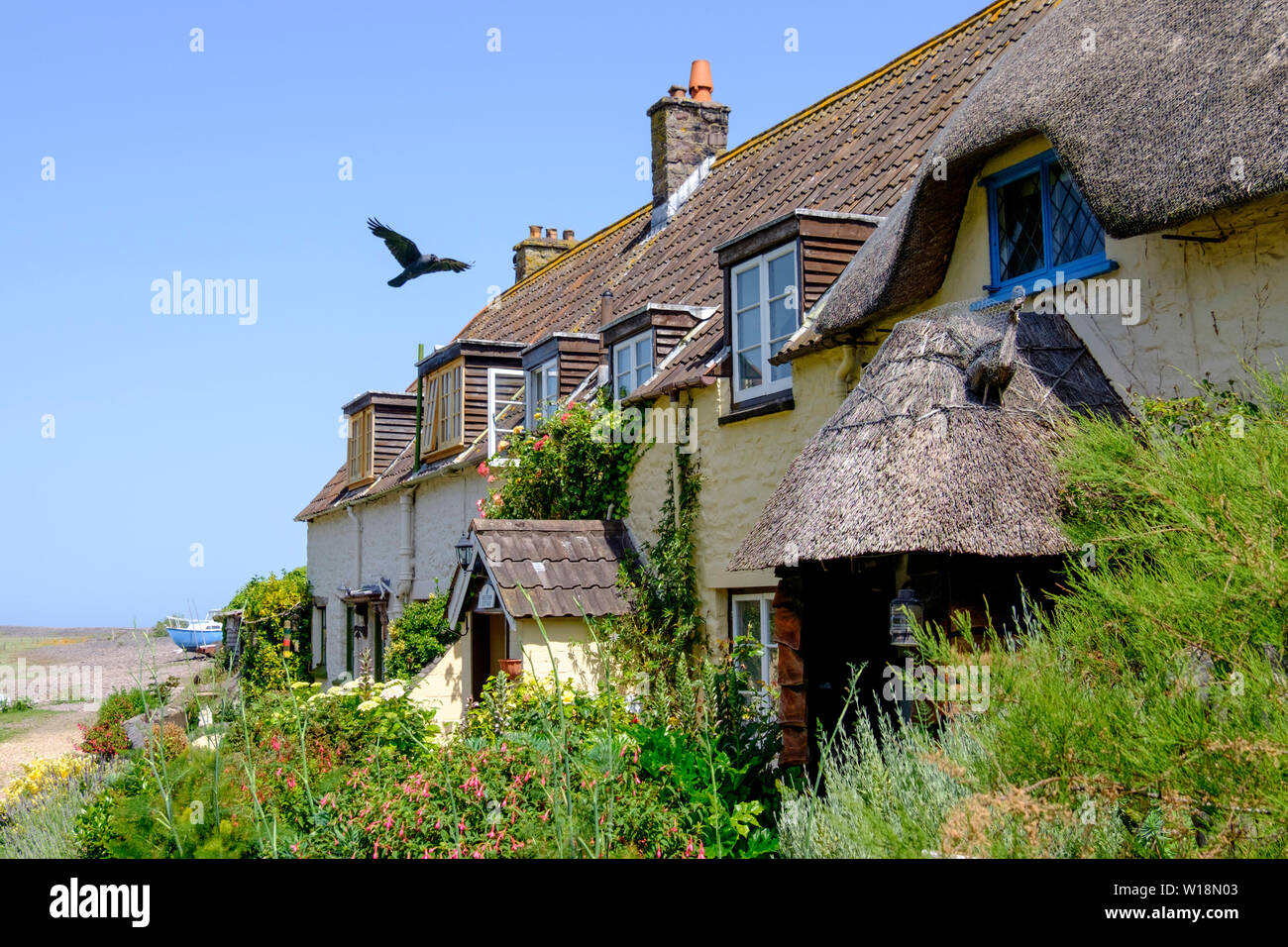 Village with thatched cottages hi-res stock photography and images - Alamy