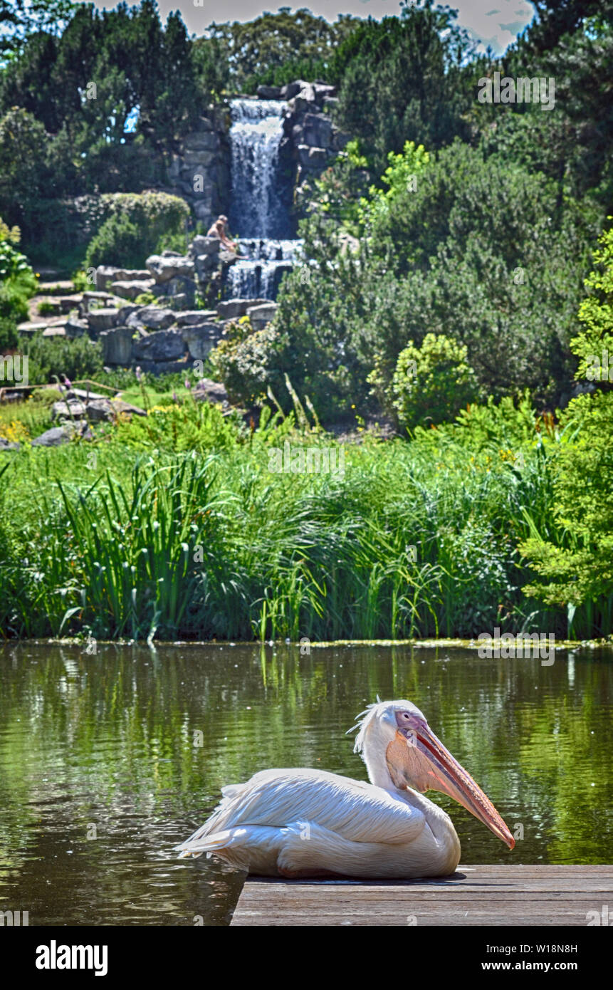 Grugapark Essen Germany Stock Photo - Alamy