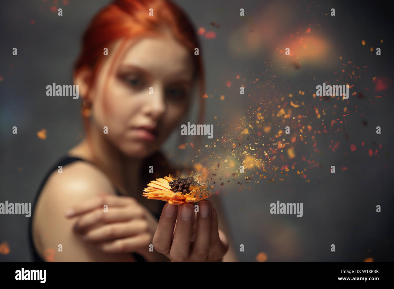 Crumbling flower hi-res stock photography and images - Alamy