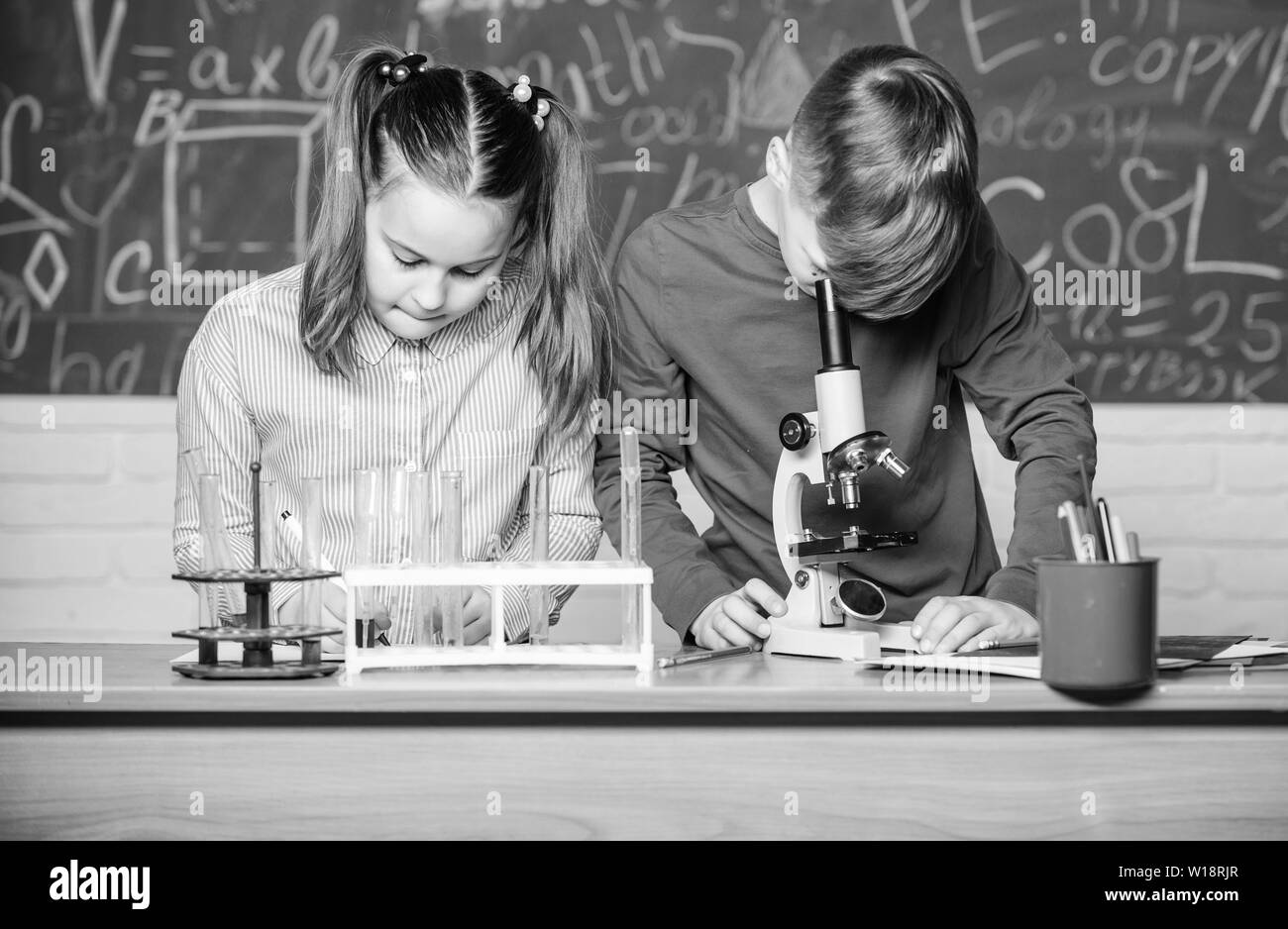 School chemistry lesson. School laboratory. School education. Girl and ...
