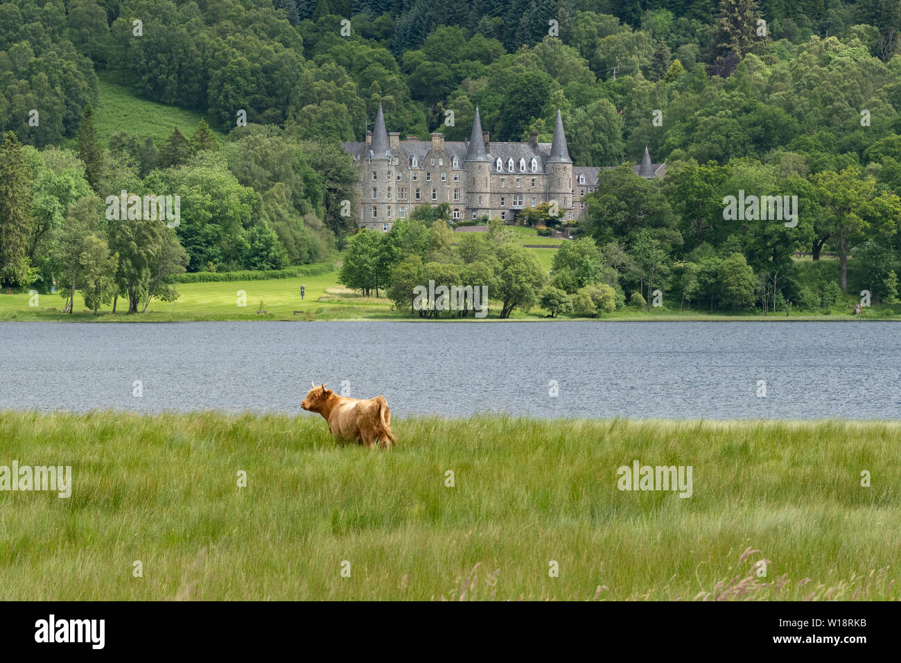 Loch Achray, Callander, Stirling, Scotland, UK - 1 July 2019: Launch ...