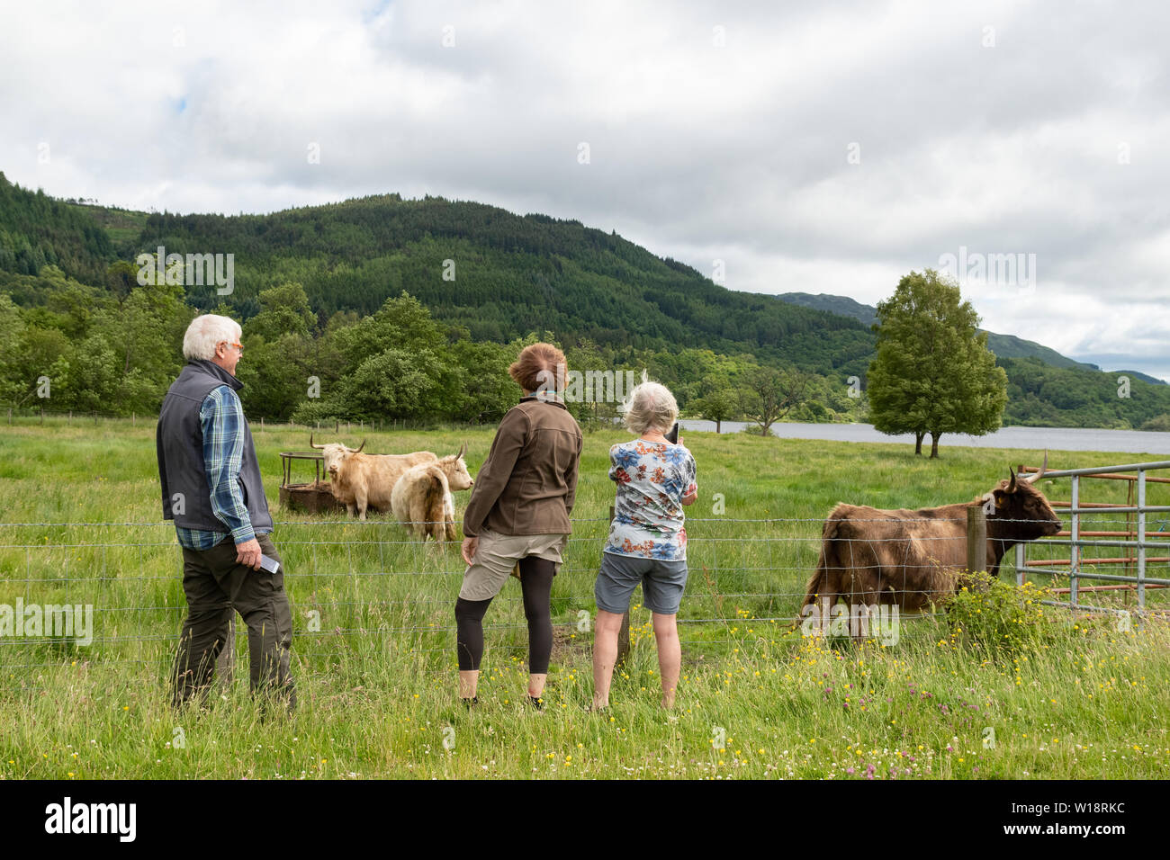 Heart 200 touring route hi-res stock photography and images - Alamy