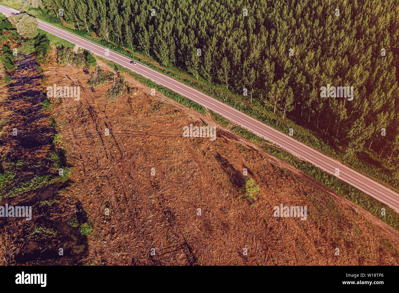 Aerial road environment deforestation hi-res stock photography and ...
