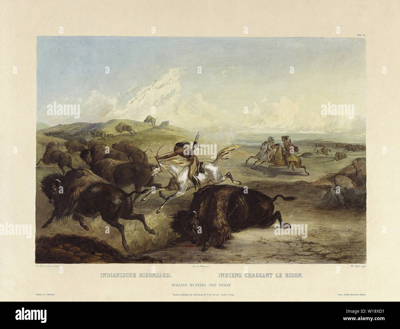 Karl Bodmer - Indians Hunting Bison Plate 31 Volume 2 Travels Interior ...