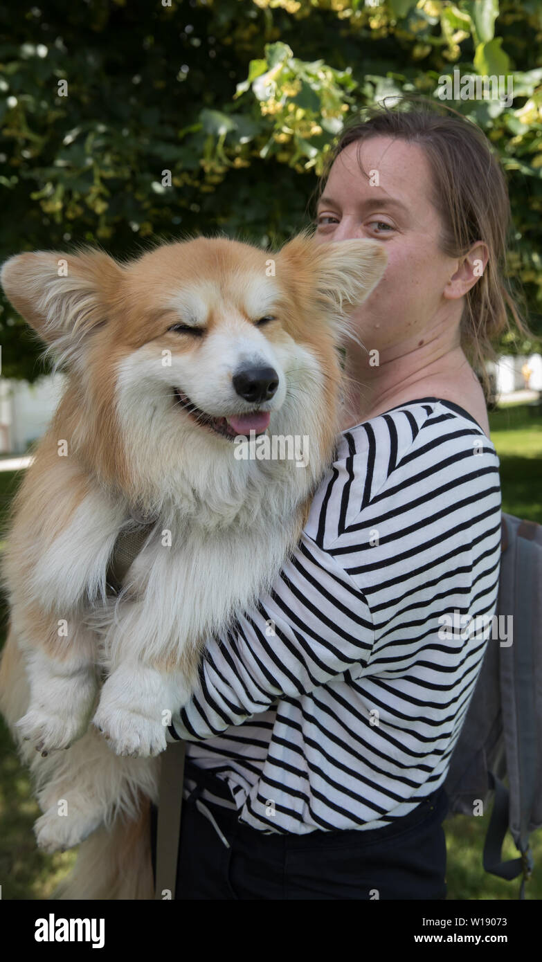 Marcel le corgi hi-res stock photography and images - Alamy