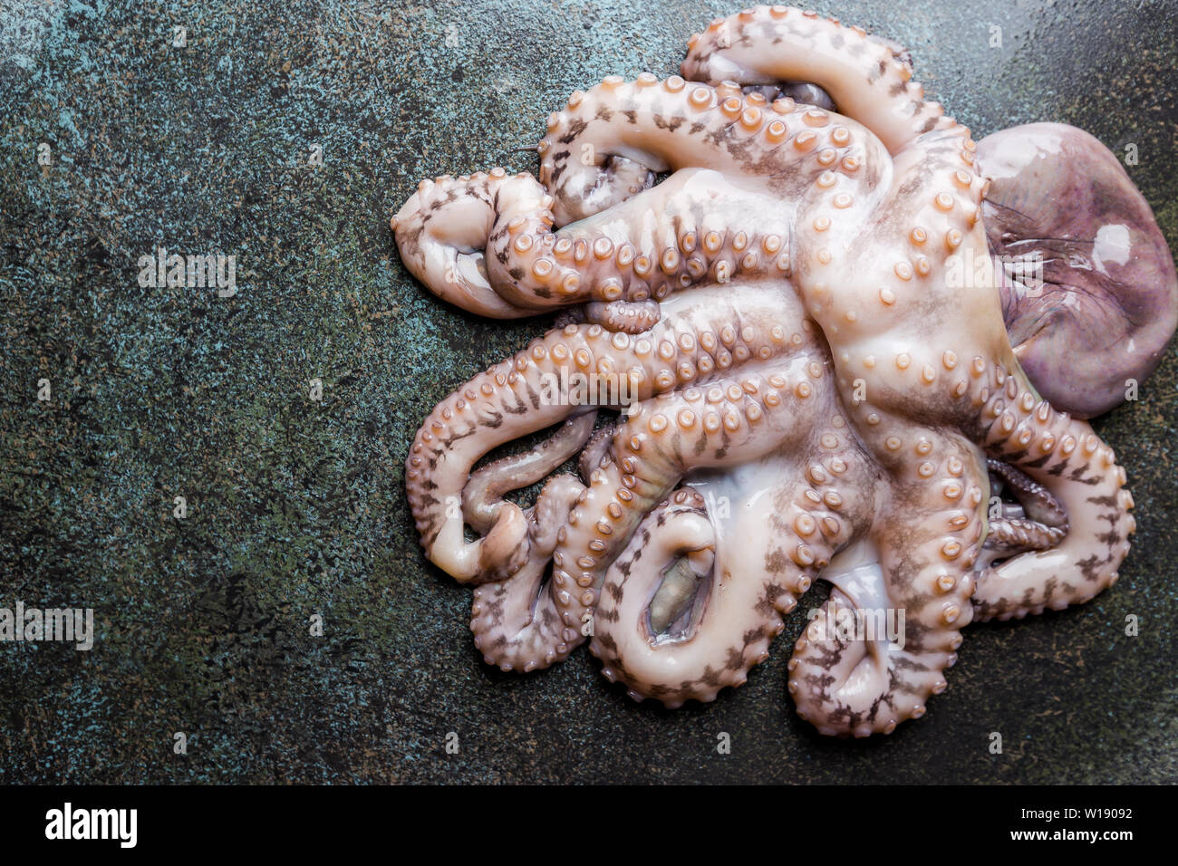 Fresh raw octopus Stock Photo - Alamy