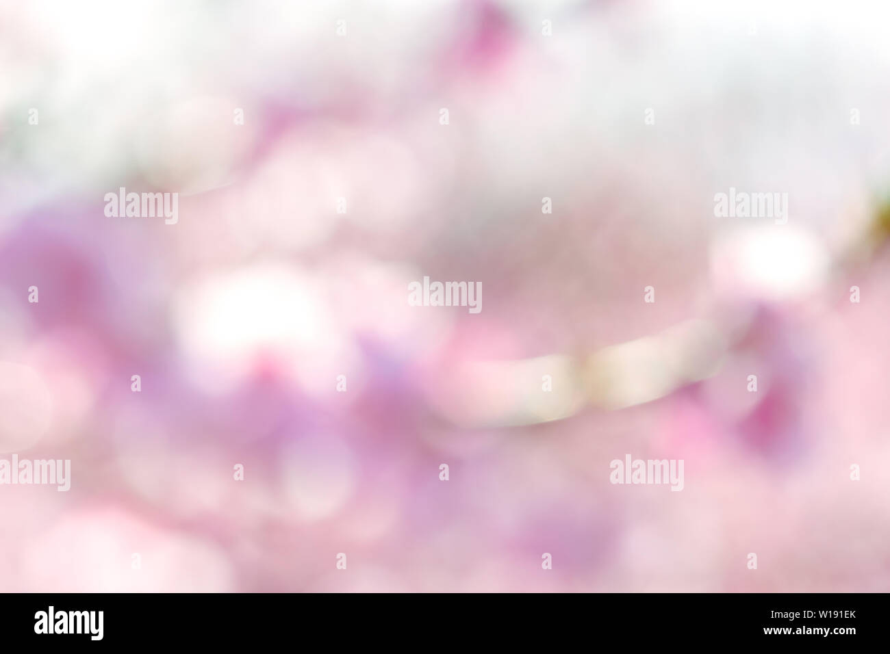 Pink spring background Stock Photo - Alamy