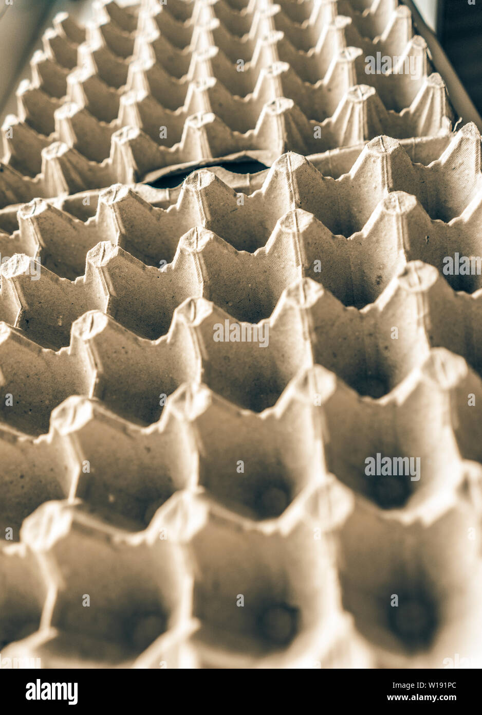 Open Empty Cardboard Egg Container Box, Farm Egg Tray Carton Grid ...