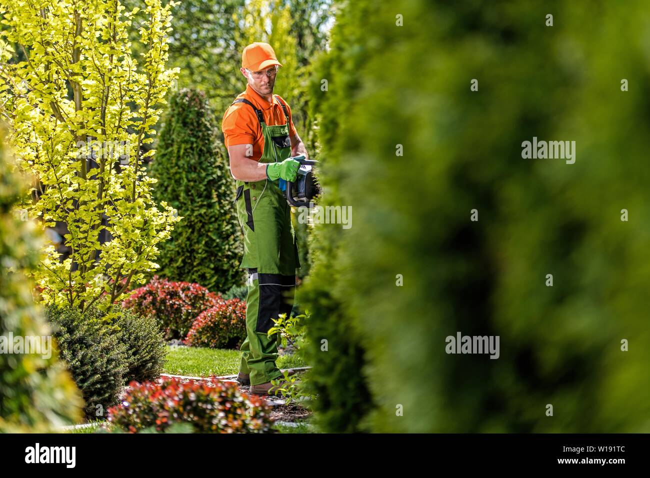 Shaping a hedge hi-res stock photography and images - Alamy