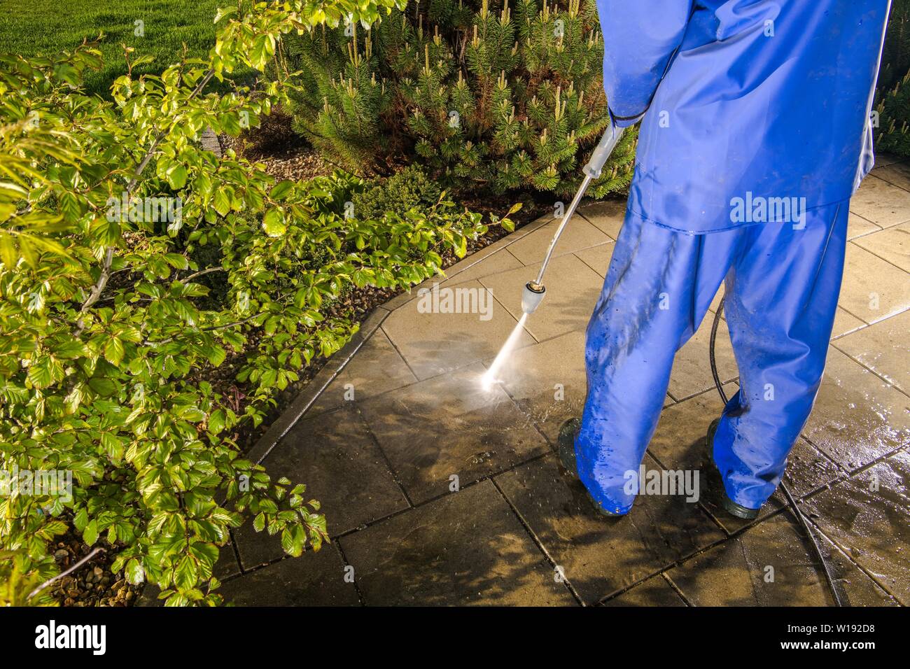 Power Washing Backyard Garden Paths. Pressure Washer Cleaning Stock ...