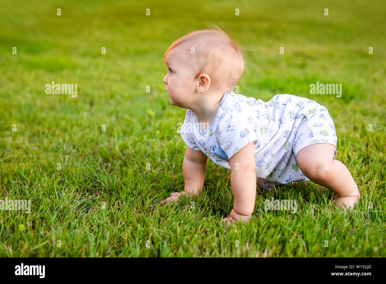 Summer portrait of happy funny baby boy outdoors on grass in field ...