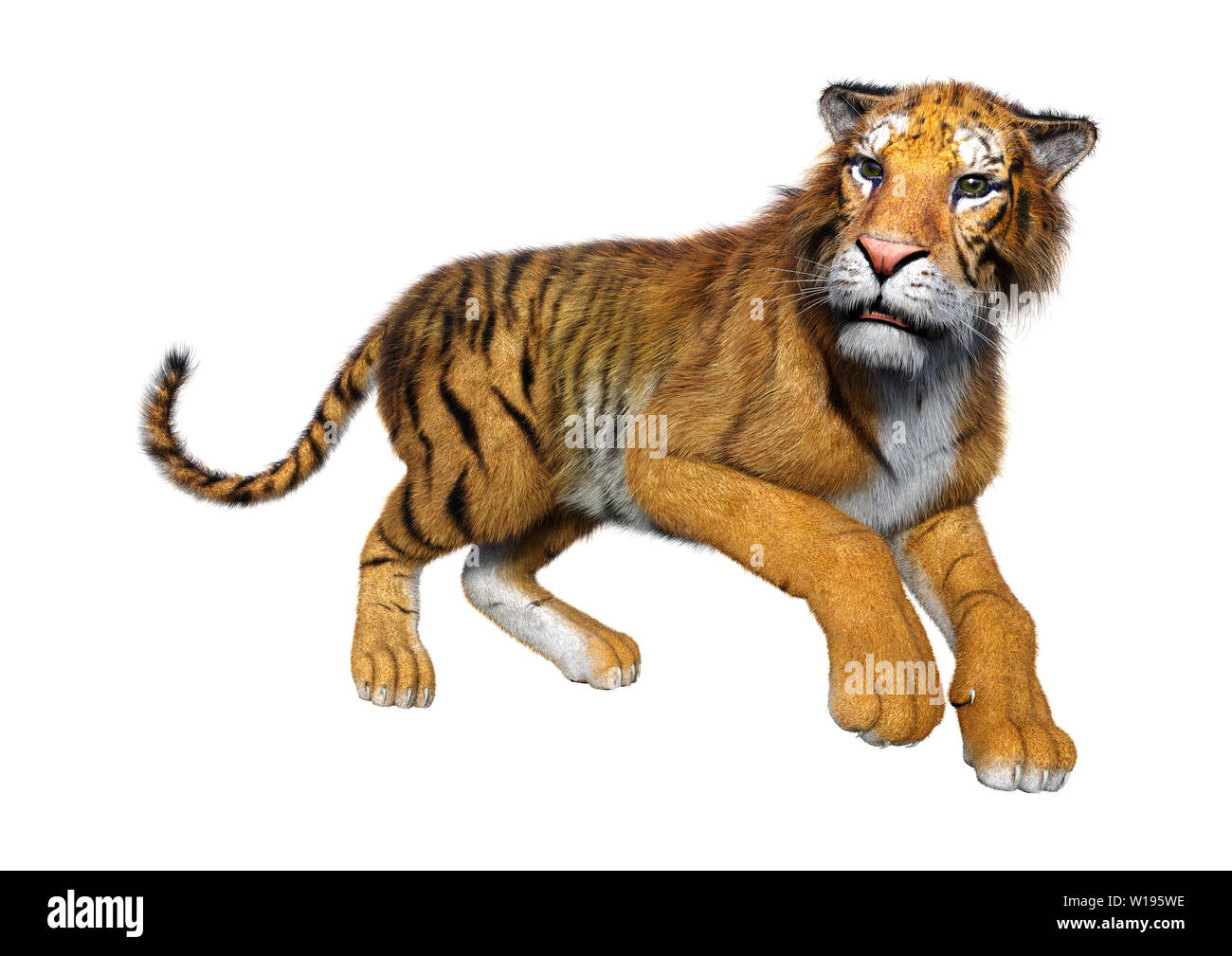3D rendering of a big cat tiger isolated on white background Stock ...