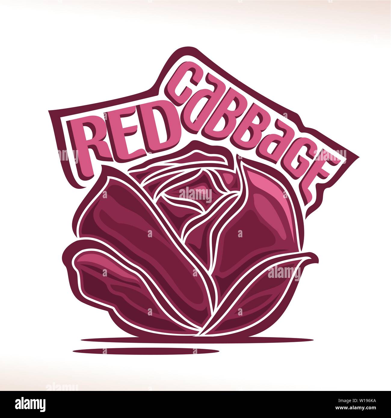 Cabbage nutrition Stock Vector Images - Alamy