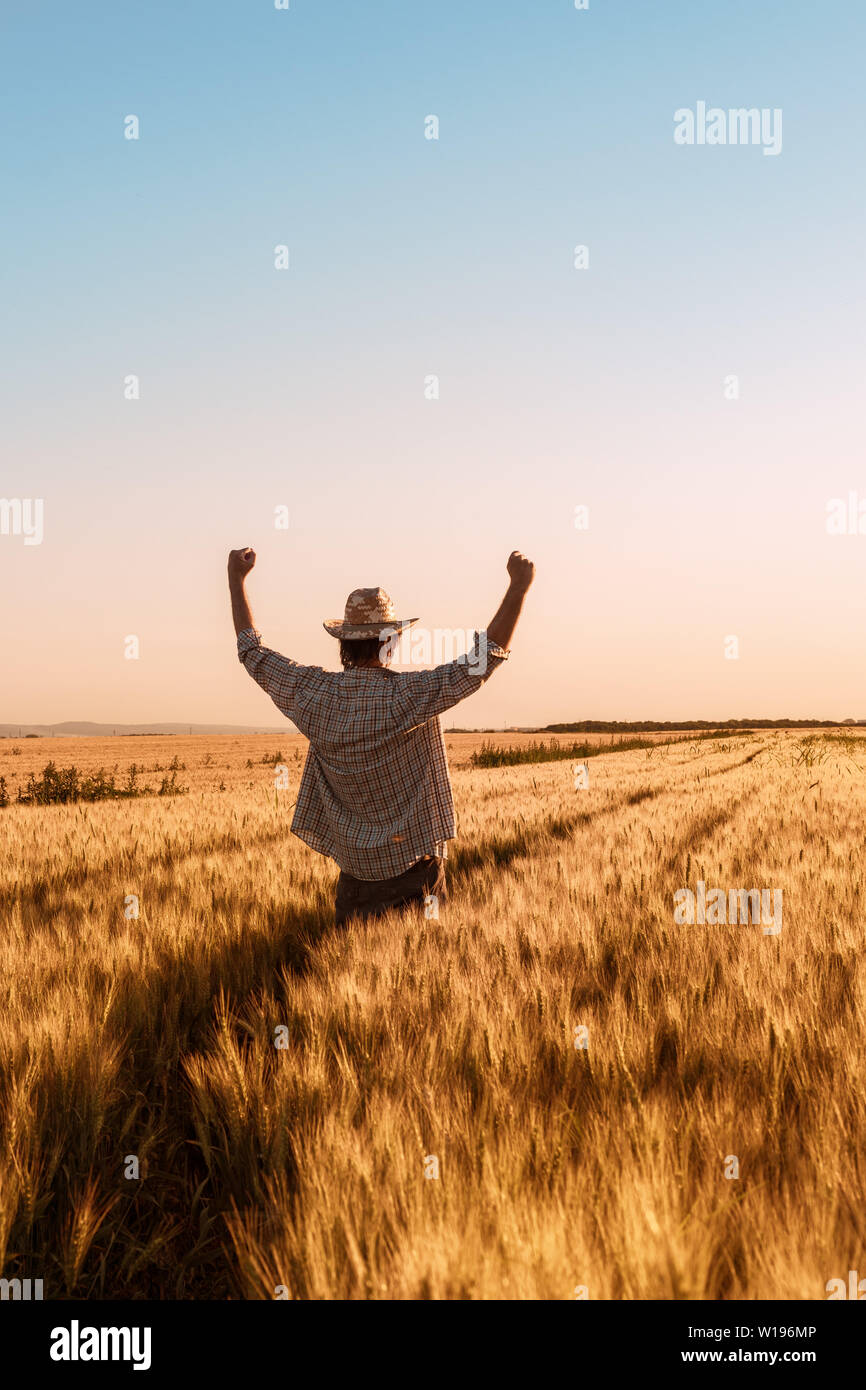Proud happy victorious wheat farmer with hands raised in V shape ...