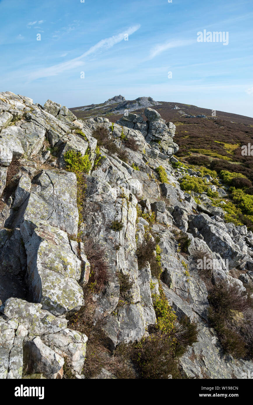 The Stiperstones, Shropshire, England. View from Cranberry rock a ...