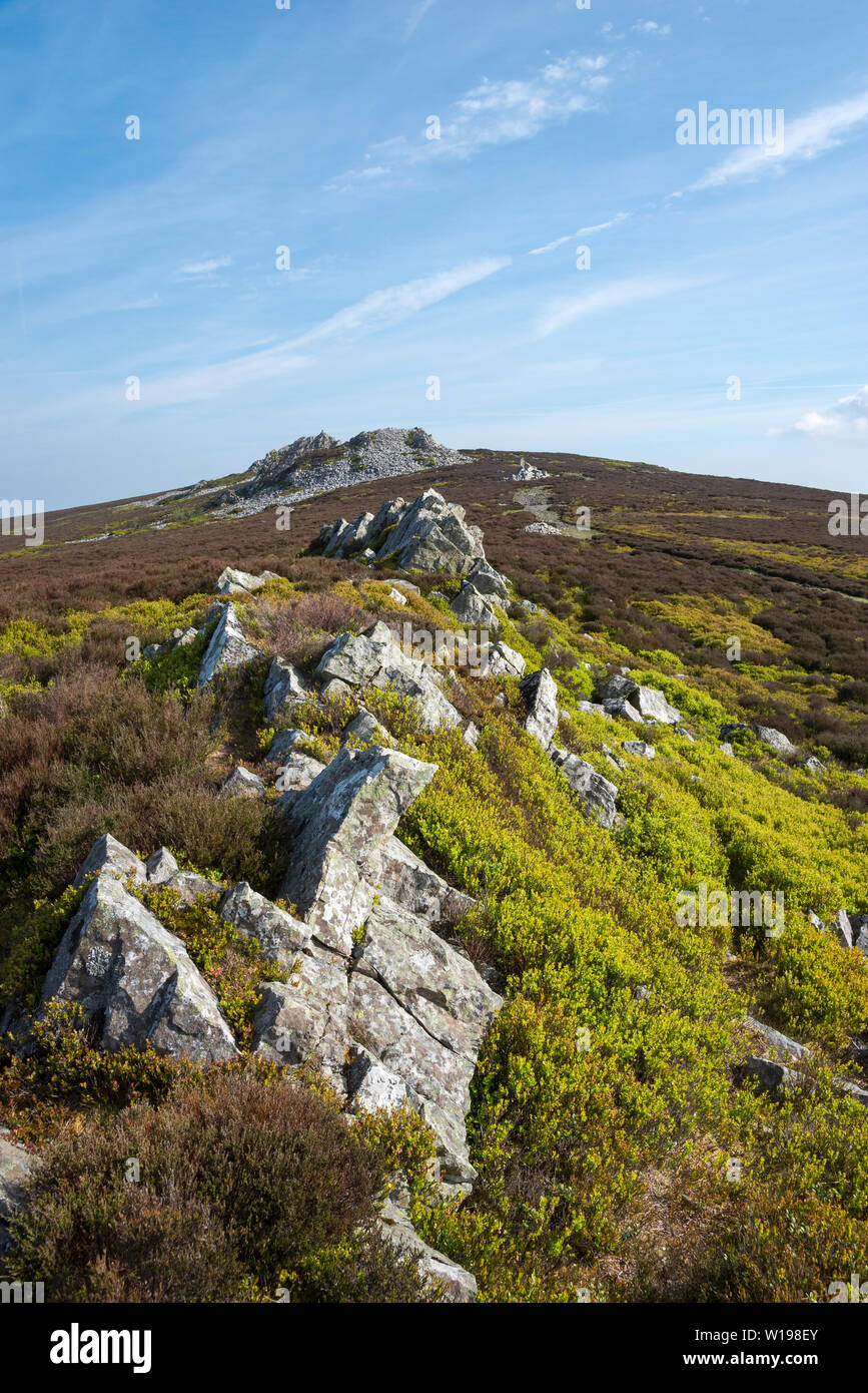 The Stiperstones, Shropshire, England. View from Cranberry rock a ...