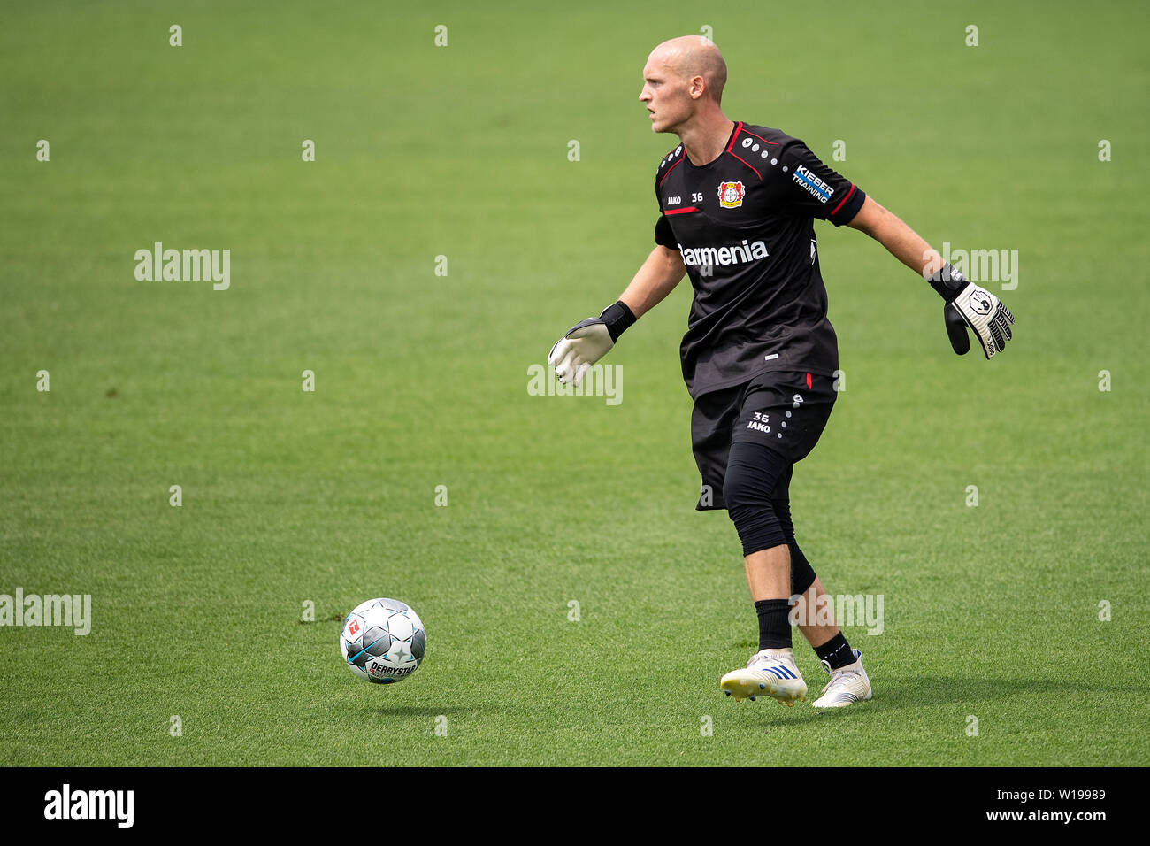 Niklas lomb hi-res stock photography and images - Alamy