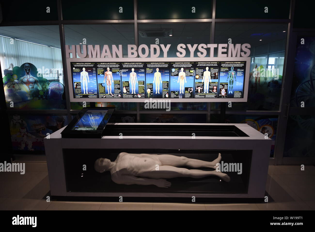 Human Body Systems of the Digital Adventure Gallery, Birla Industrial ...