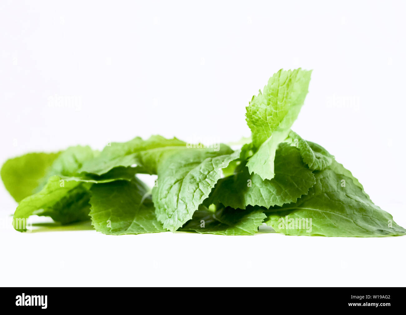 Edible spring greens Cut Out Stock Images & Pictures - Alamy