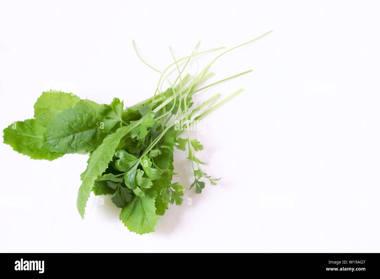 Ecologically clean Cut Out Stock Images & Pictures - Alamy