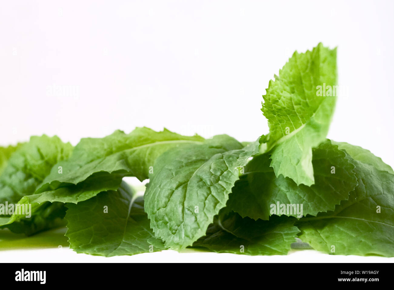 Fresh organic young leaves of home spring edible greens isolated on ...
