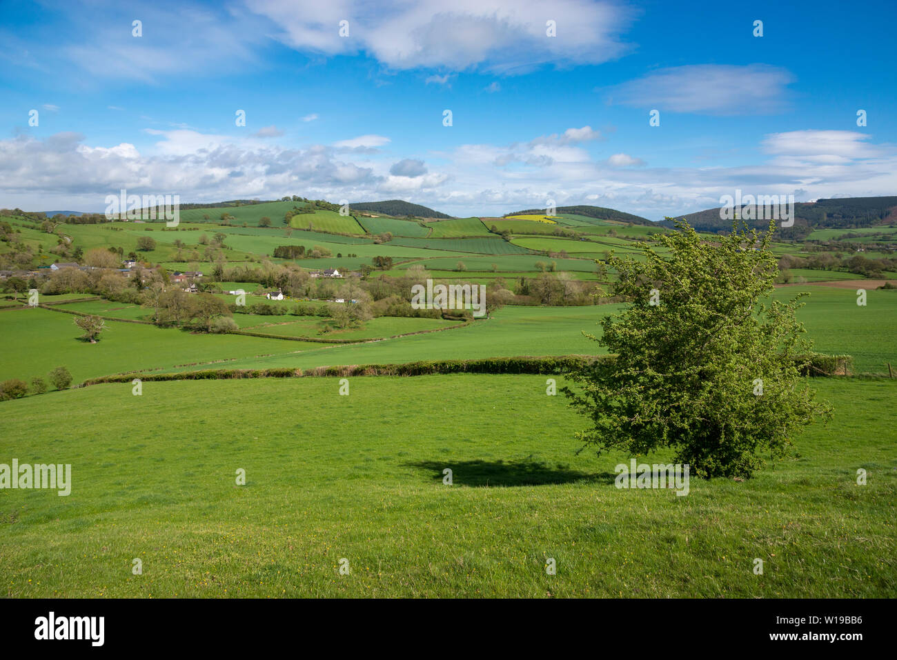 Bicton spring hi-res stock photography and images - Alamy