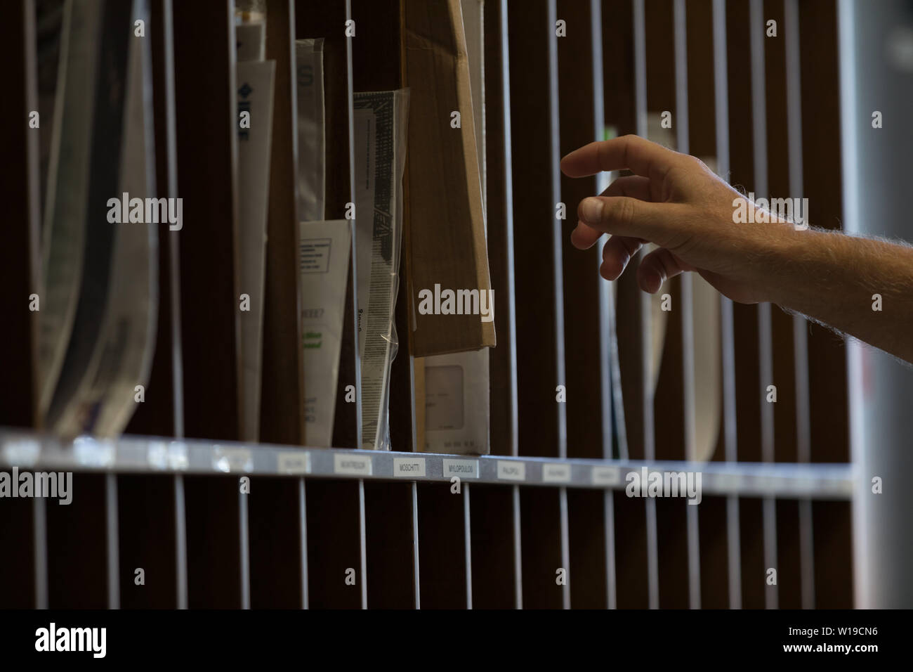 Male hand reaching for sorted post or mail in pigeon holes in a postal ...