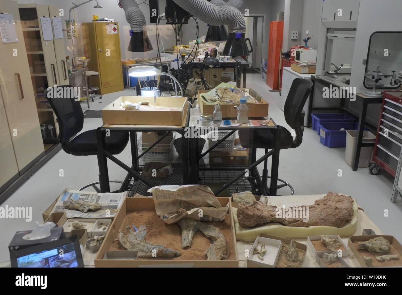 Artefacts Dig Stock Photos & Artefacts Dig Stock Images - Alamy