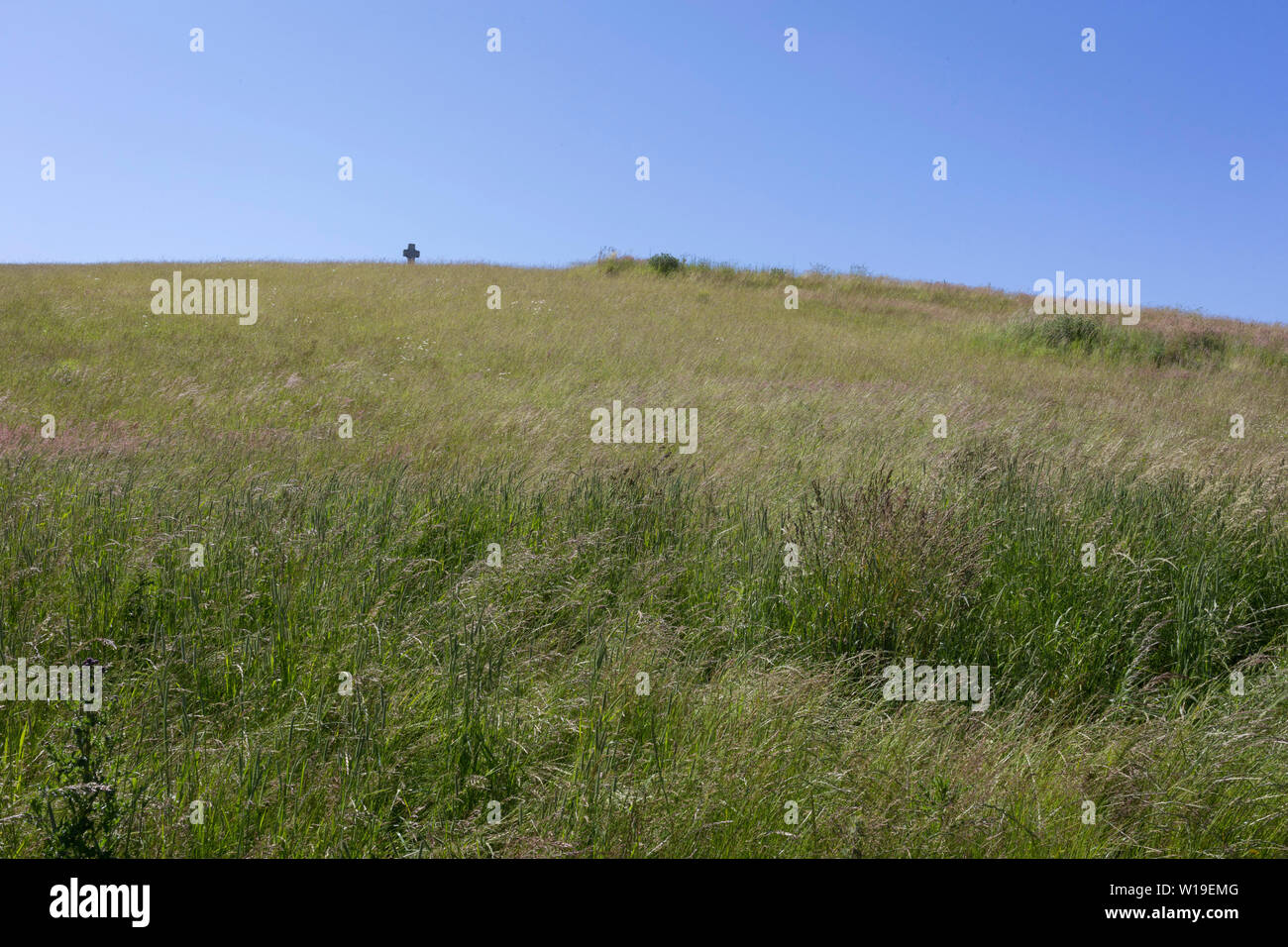 Battle of flooden hi-res stock photography and images - Alamy