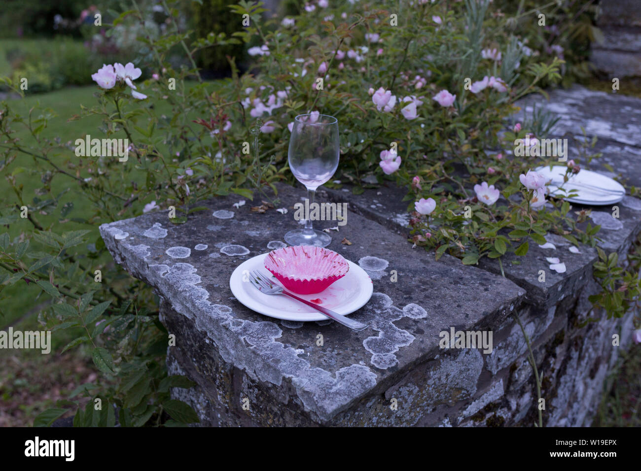 The aftermath debris of a plate and glass at dawn, the morning after a ...