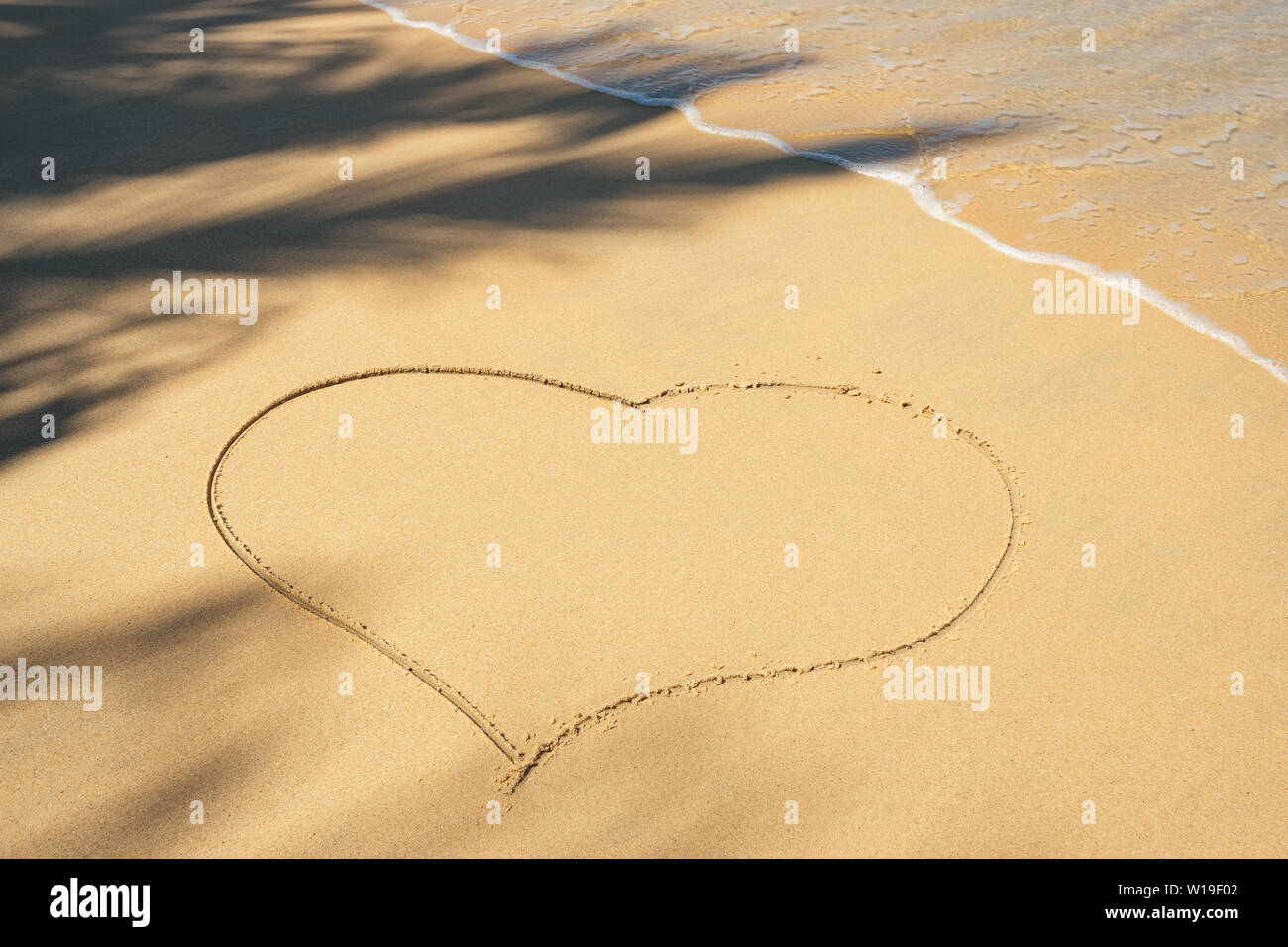 Heart of palm tree hi-res stock photography and images - Alamy