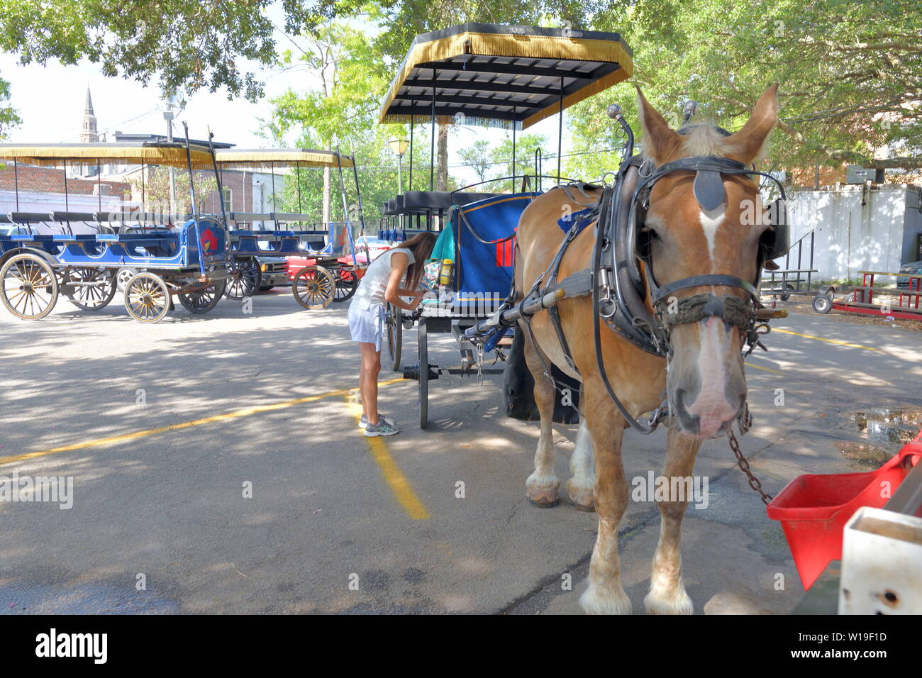 Bathing Carriage High Resolution Stock Photography and Images - Alamy