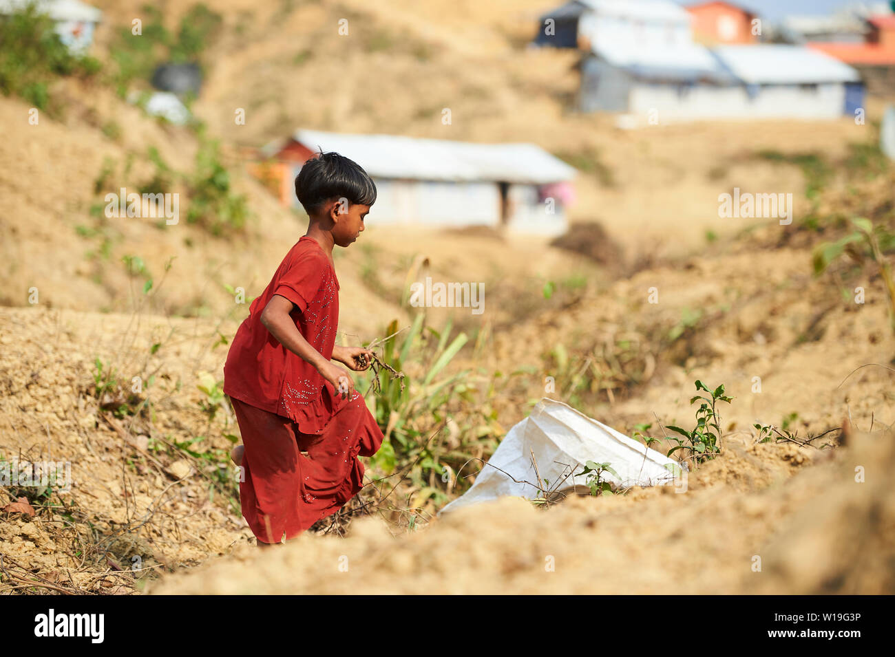 Child in red dress collecting firewood in Rohingya Refugee Camp ...
