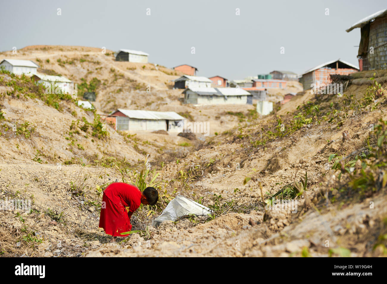 Child in red dress collecting firewood in Rohingya Refugee Camp ...