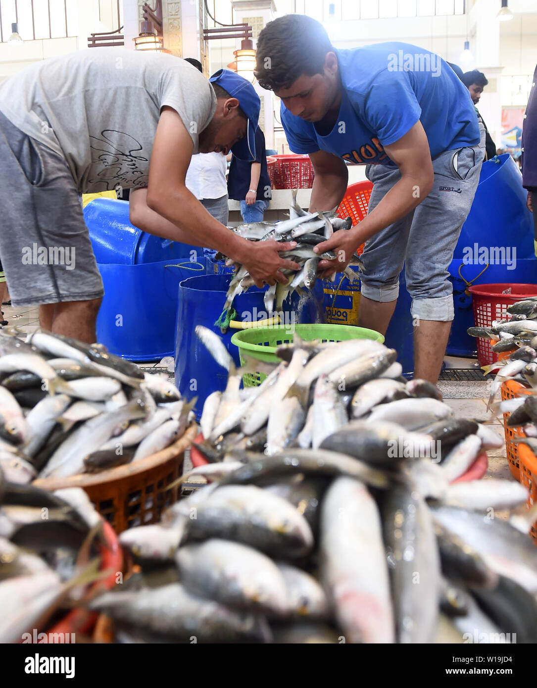 Kuwait City, Kuwait. 1st July, 2019. People buy fishes at a fish market ...