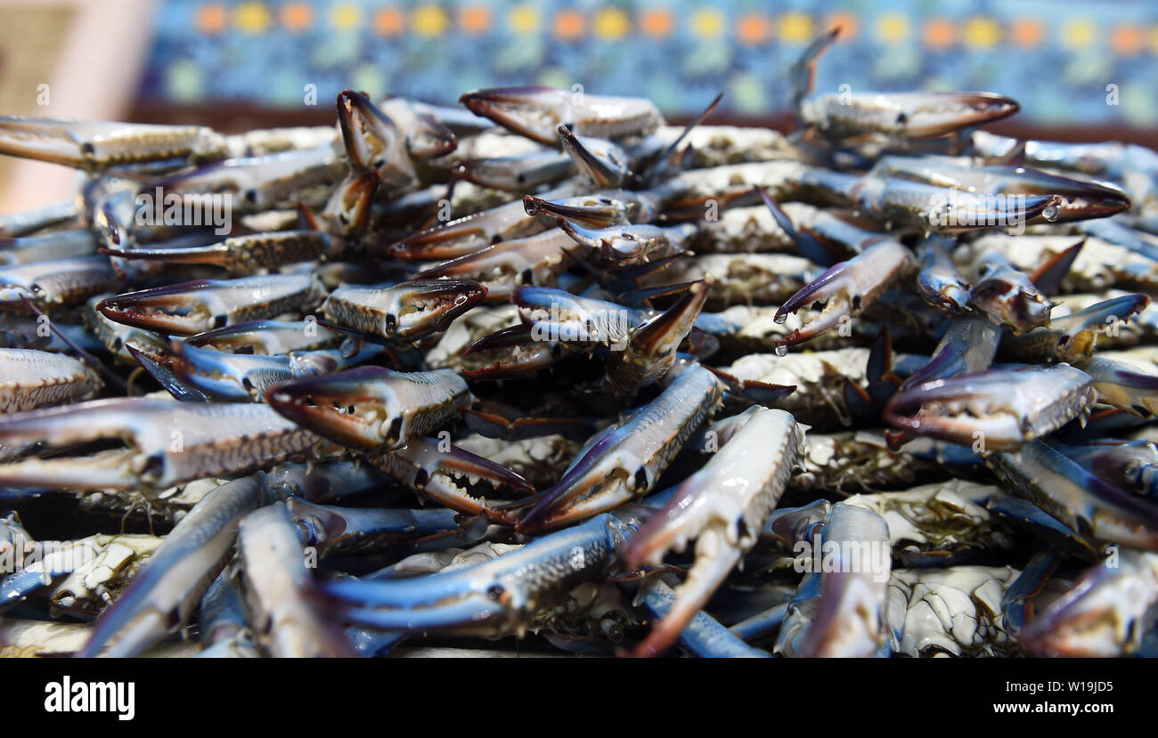 Kuwait City, Kuwait. 1st July, 2019. Crabs are seen at a fish market in ...