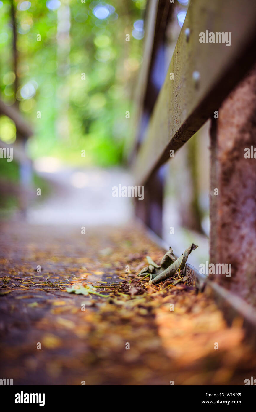 Wooden bridge in the forest, blurry background Stock Photo - Alamy