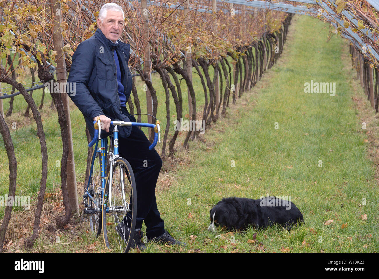 Italian former professional road bicycle racer Francesco Moser now wine ...