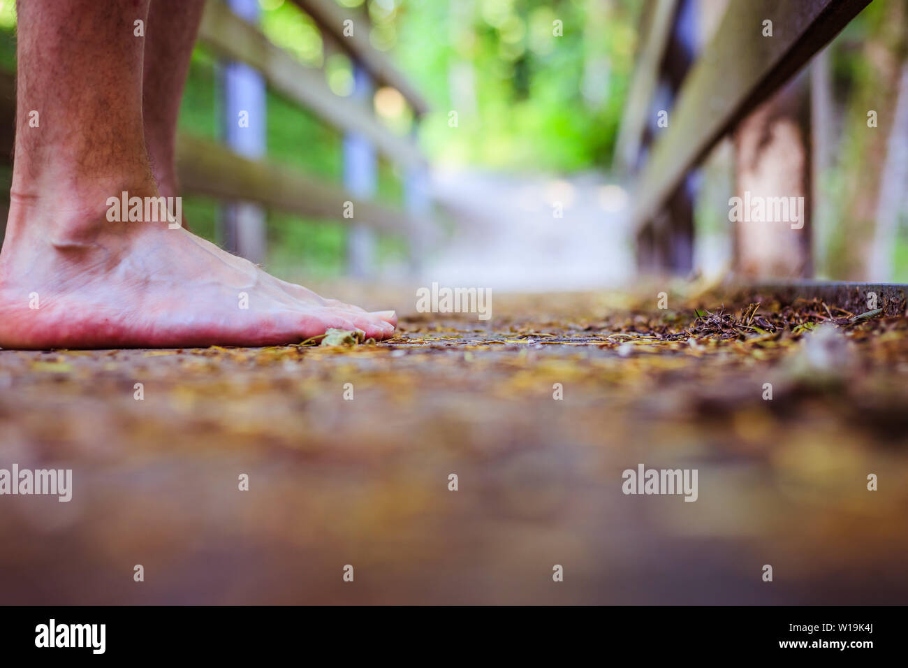 Barefoot feet on a rusty old wooden bridge in the forest, adventure ...